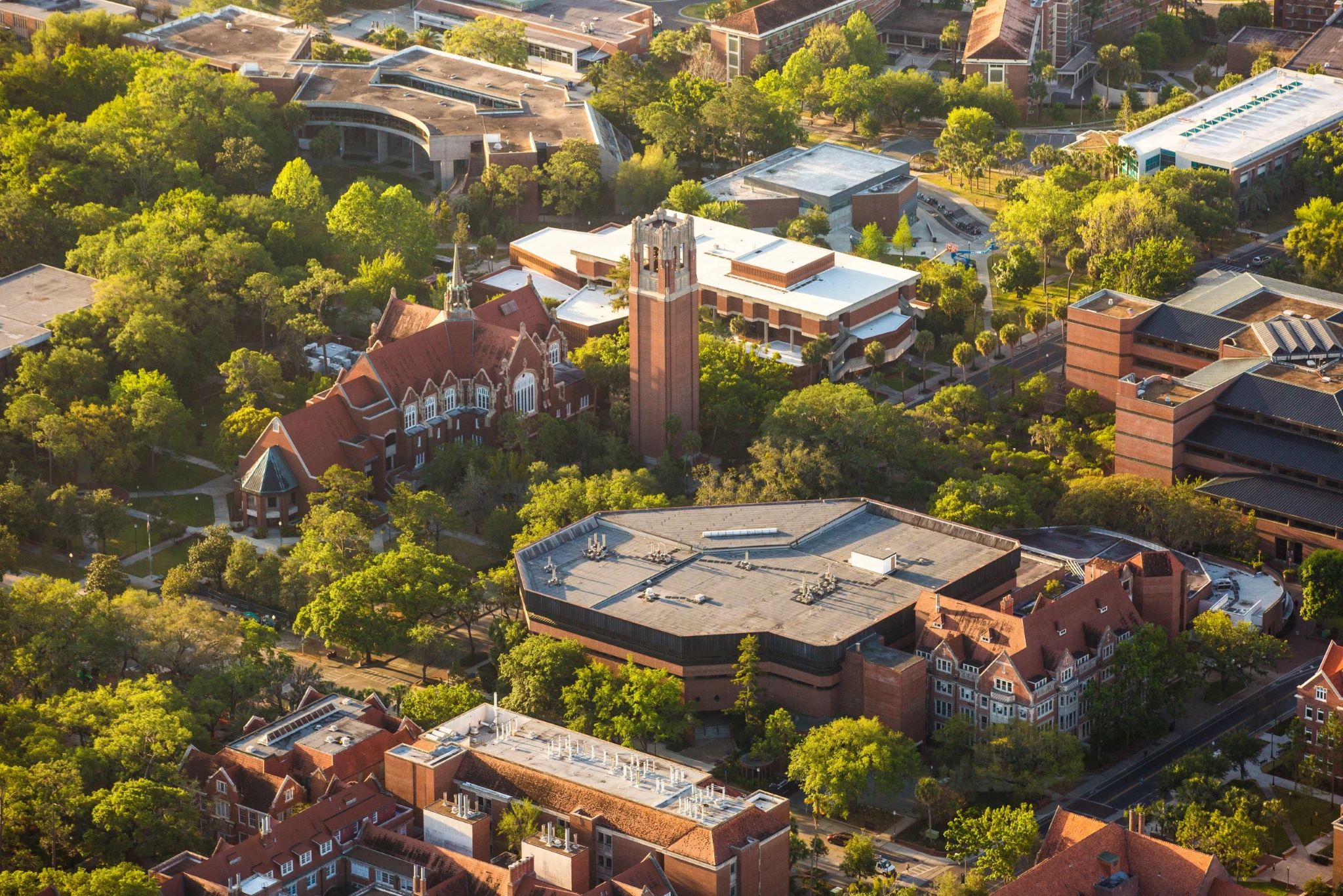 University of Florida Common Data Set & Admissions Statistics ...
