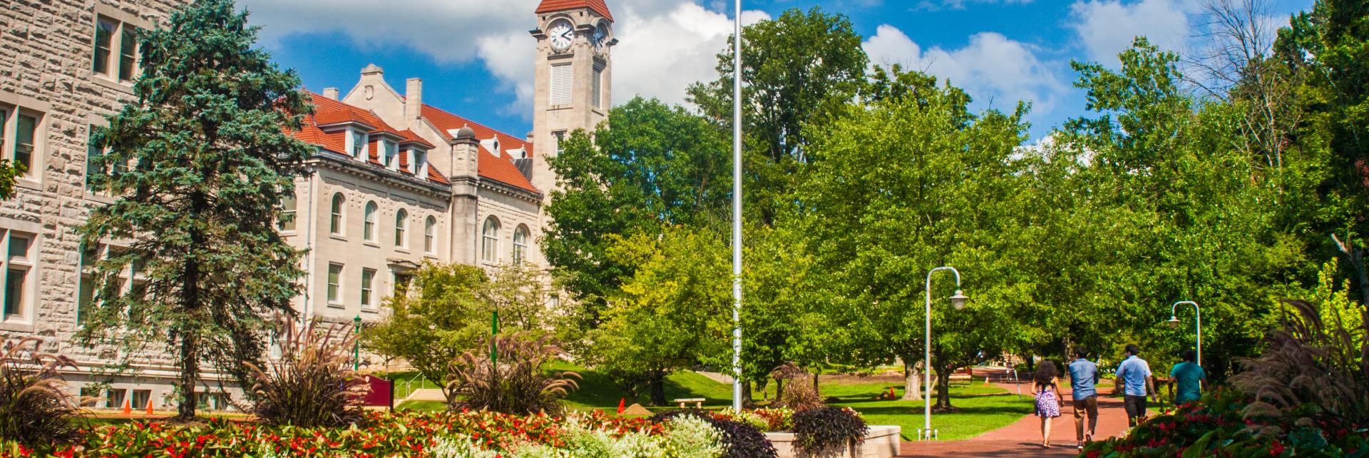 Indiana University Common Data Set & Admissions Statistics | AnyAnswer AI