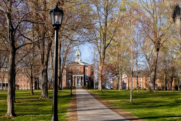 Bates College Common Data Set & Admissions Statistics | AnyAnswer AI