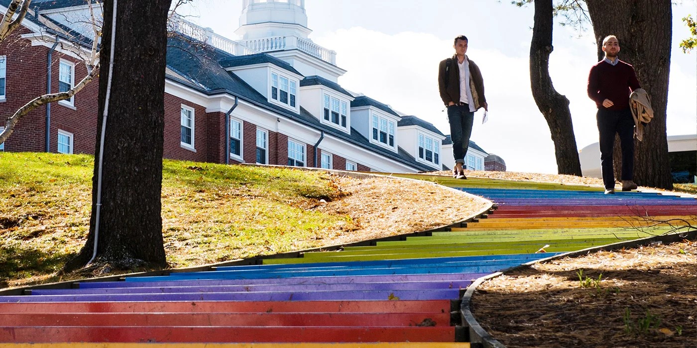 Tufts University Common Data Set & Admissions Statistics | AnyAnswer AI